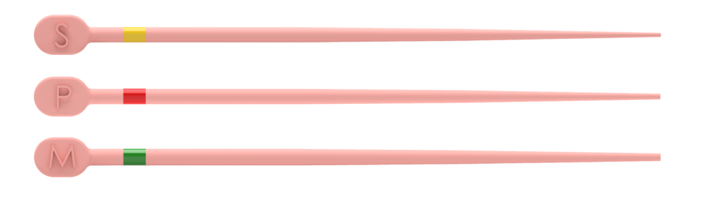 GP Trunatomy - dentalon